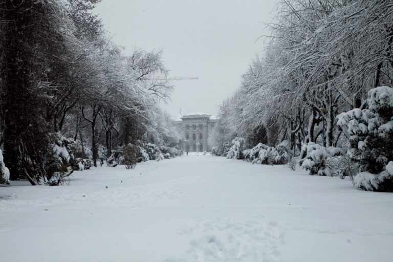 Best ways to embrace winter in Bucharest - Urban Adventures